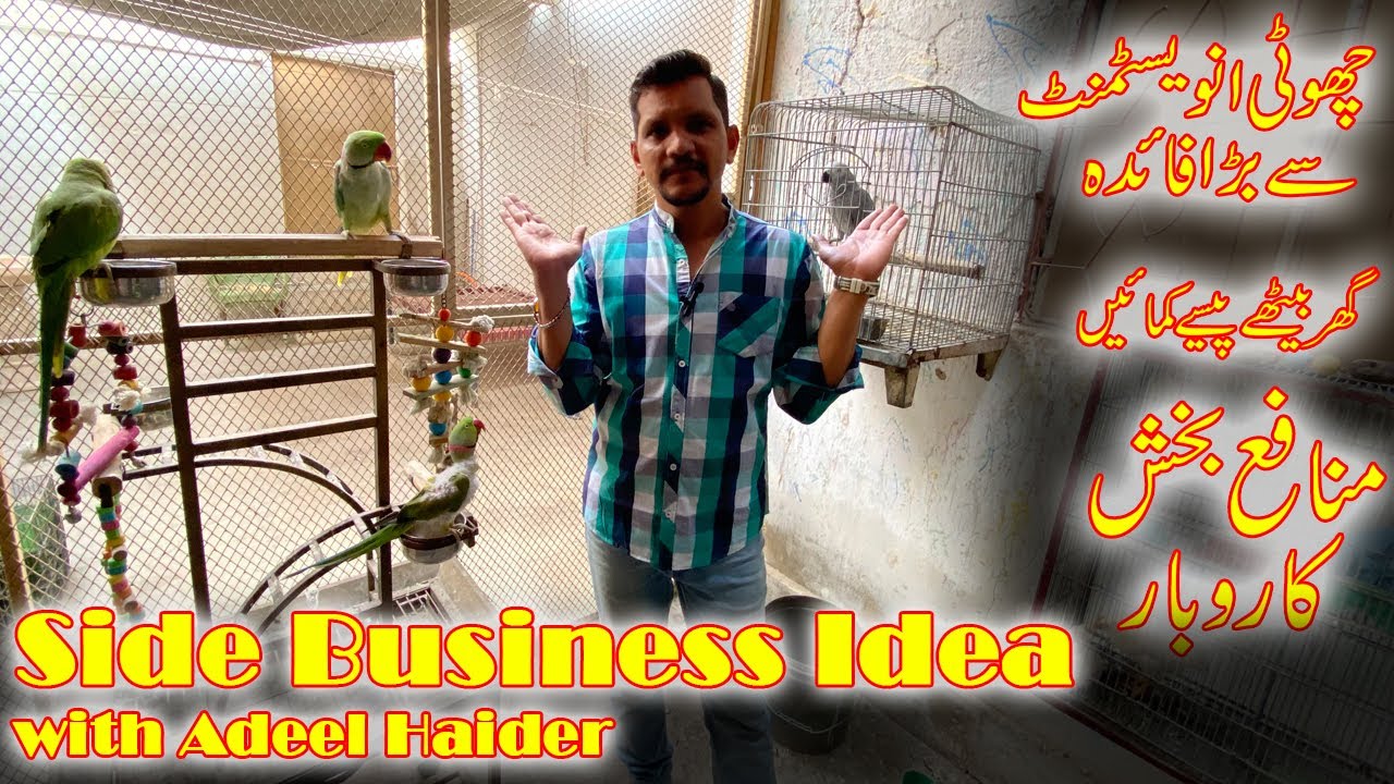 Side Business Idea with Adeel Haider | PBI Official - YouTube