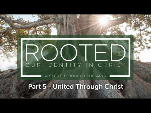 Rooted | Part 5 - United through Christ - YouTube