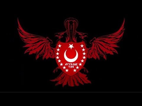 Pkk lı Gazeteciye AYYILDIZ TİM Tokadı !