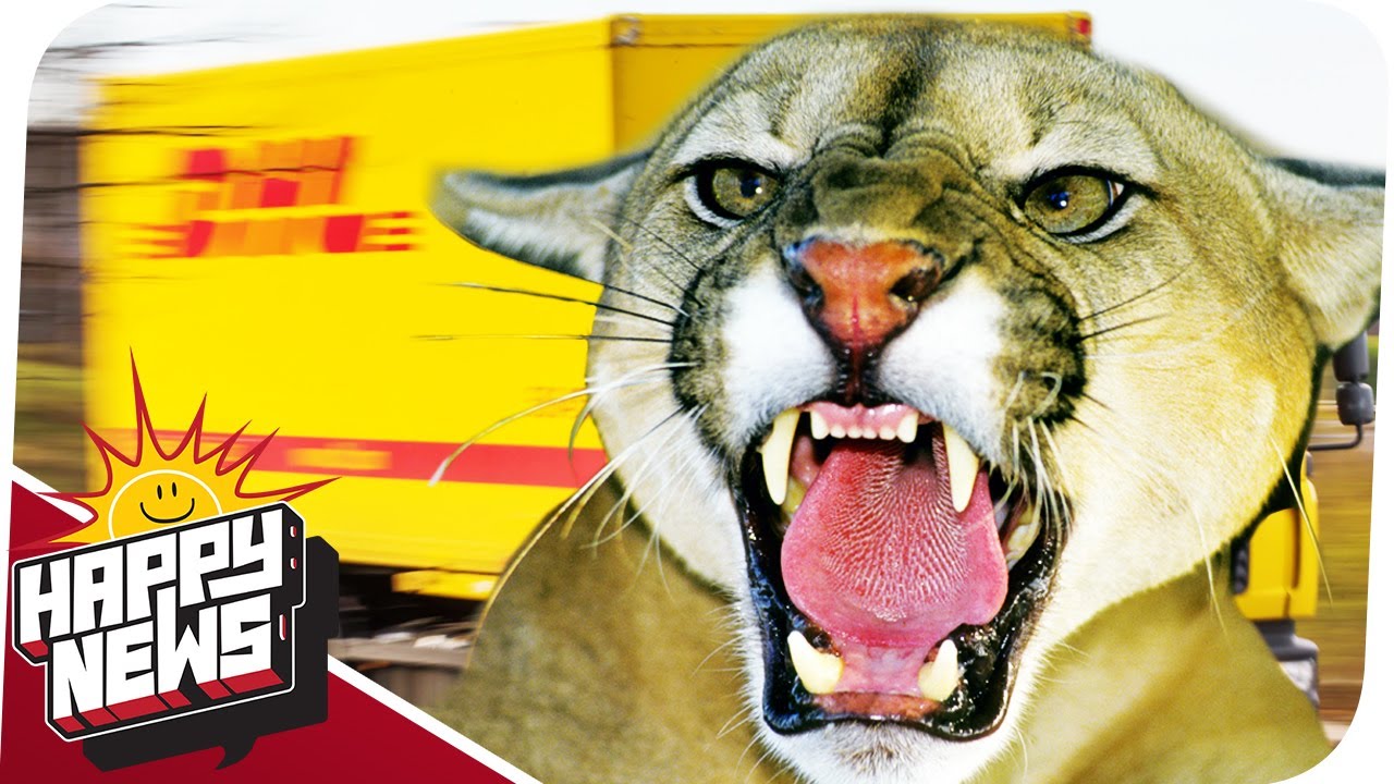 "Puma" per Post & Google Prank! - HAPPY NEWS - YouTube