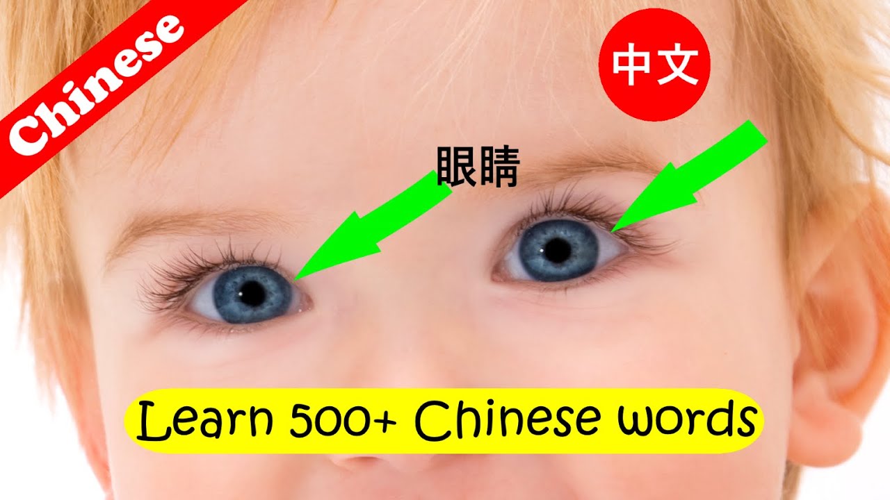 Learn Chinese for kids [ Day 1.1 ] Body | Animals | Baby | Food ...