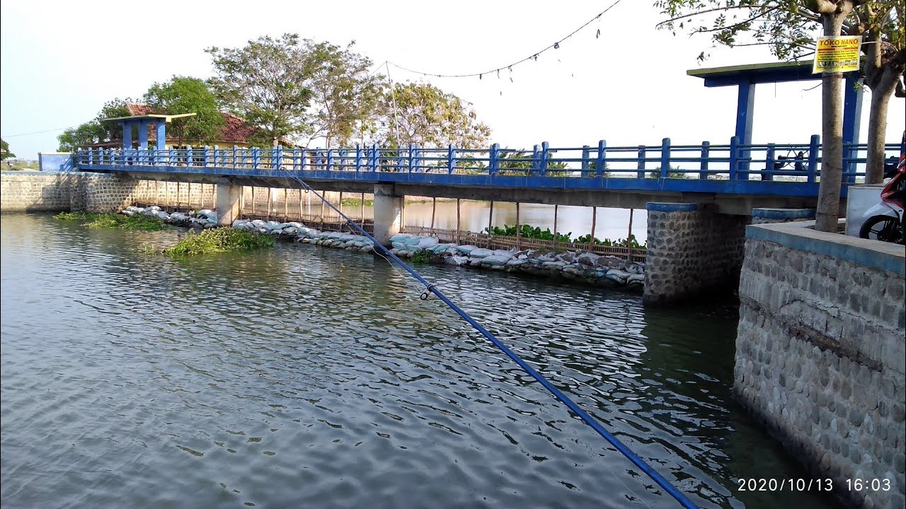 Rute masuk spot bendungan kali talang sari || spot kakap putih . desa ...