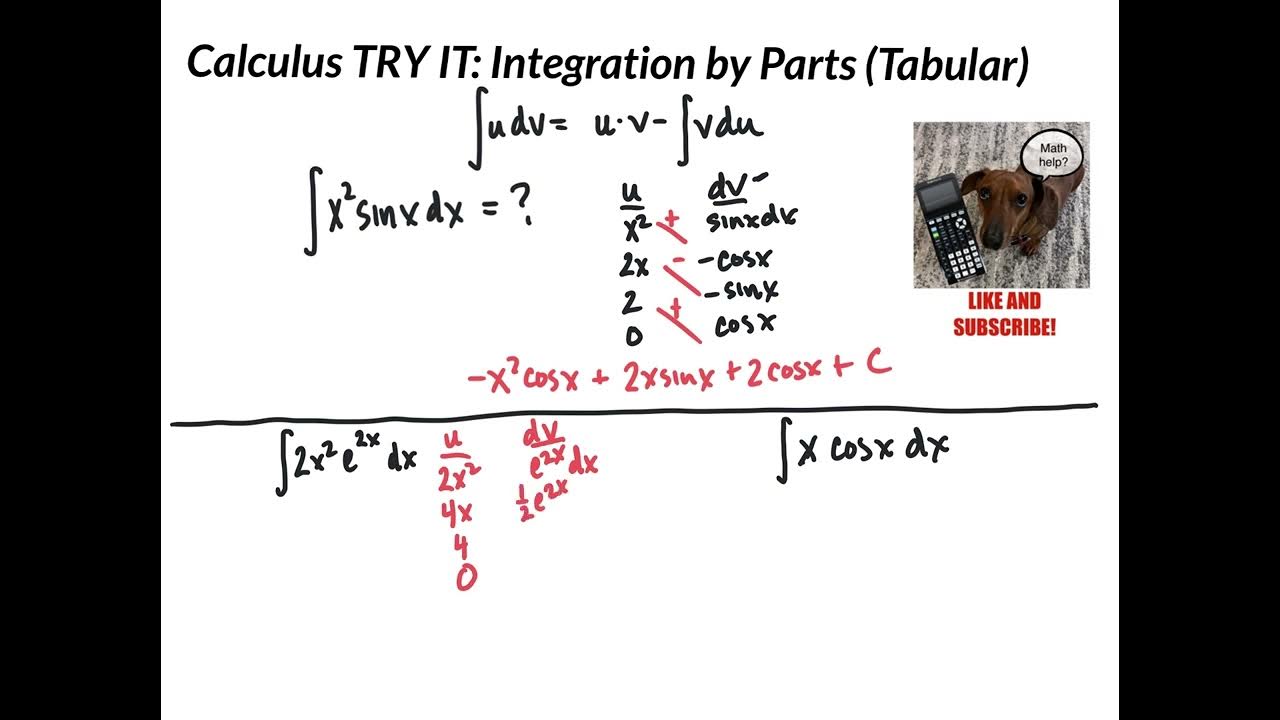 Calculus TRY IT Integration by Parts Using Tabular Method - YouTube