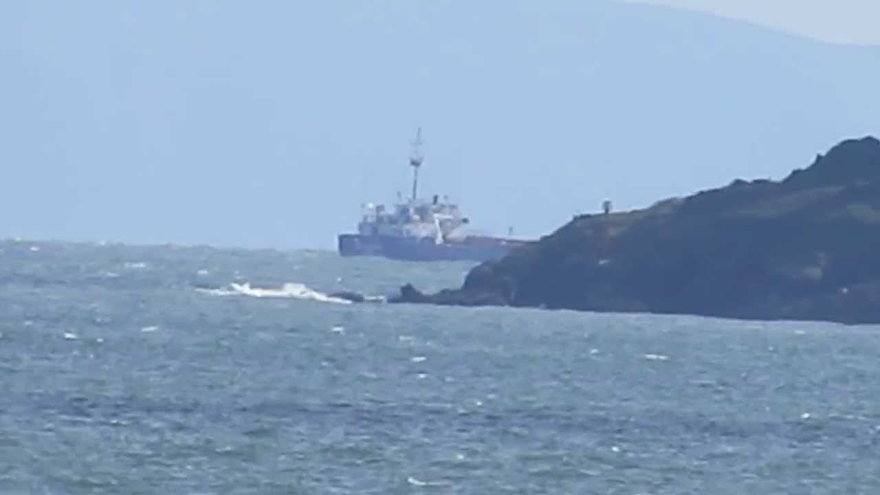 HAV Snapper - YouTube