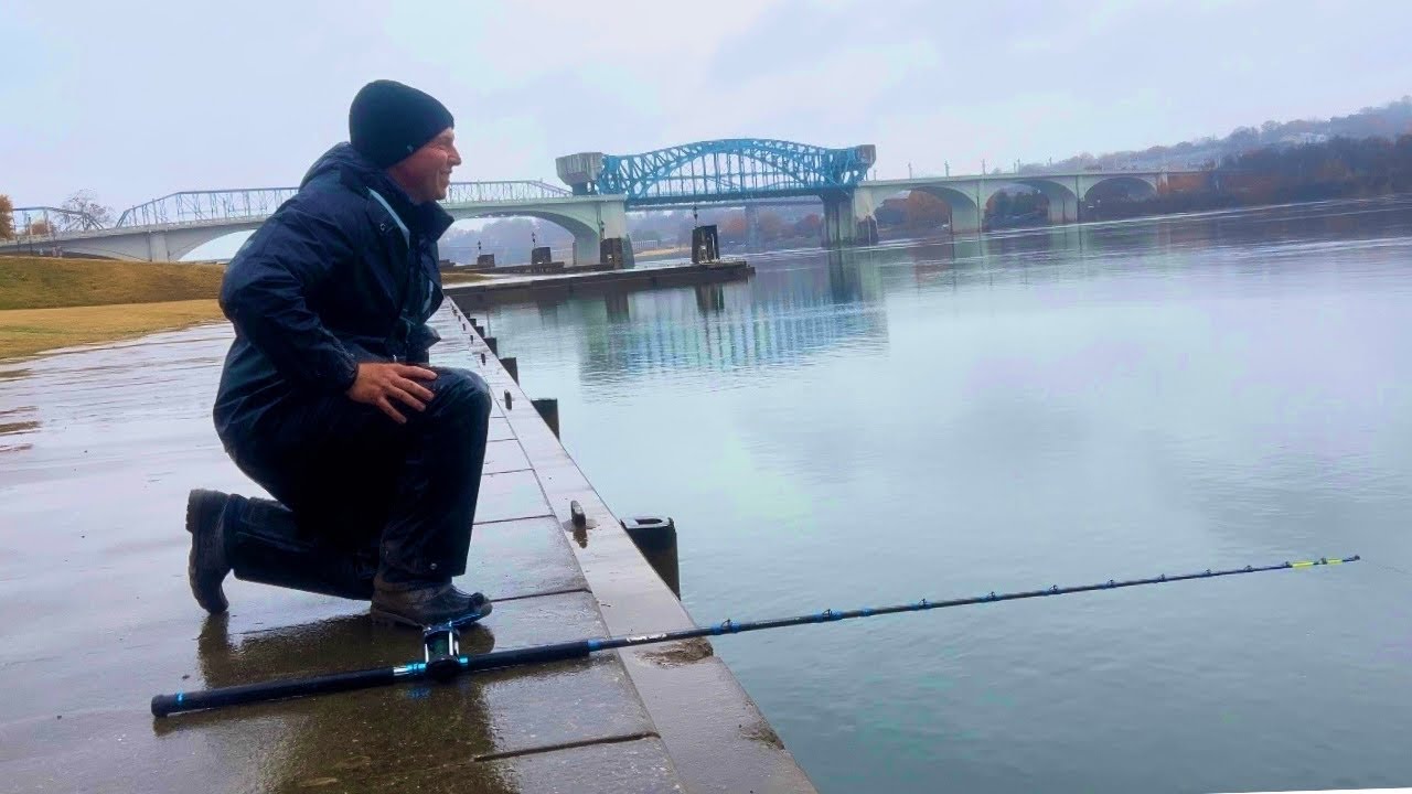 Fishing in the City (250lb+ of fish) - YouTube