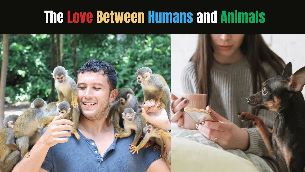 Incredible Friendships: Humans and Their Animal Companions - YouTube