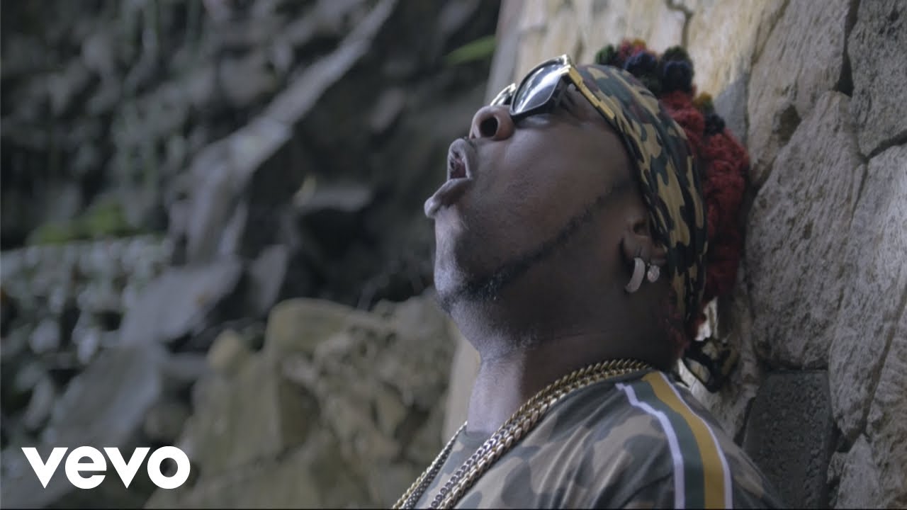 Elephant Man - Capital P - YouTube Music