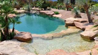 Natural Swimming Pool Diagram Your Backyard Oasis: Everything You Need