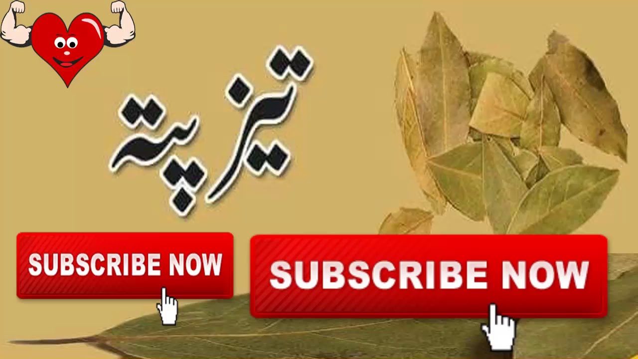 tejpatta in hindi│tes paat patate│jpatta powder│Health benefits of Bay ...