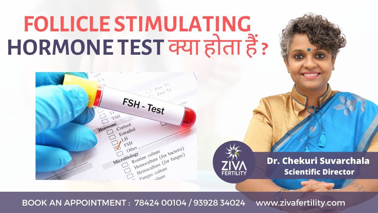 Follicle Stimulating Hormone Test How Do Fsh Levels Affect Fertility