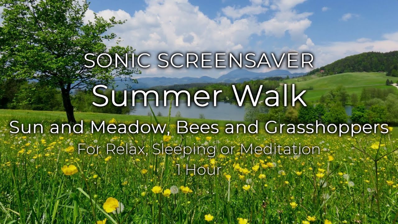 SONIC SCREENSAVER - Summer Walk - Sun and Meadow, Bees and Grasshoppers ...