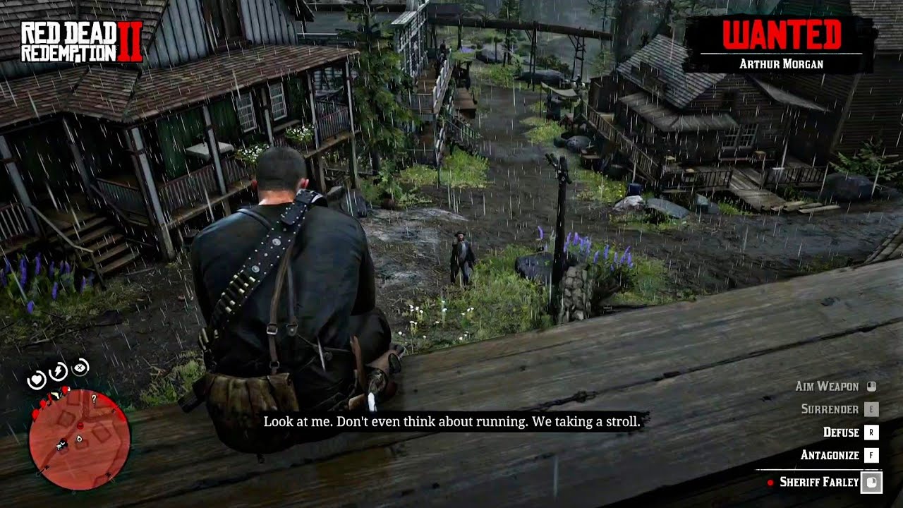 RDR2-On My Second Playthrough I Realize I Could Do This In Strawberry ...