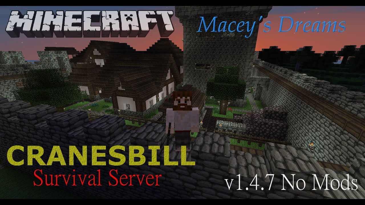 Minecraft - Medieval Town (SMP) - YouTube