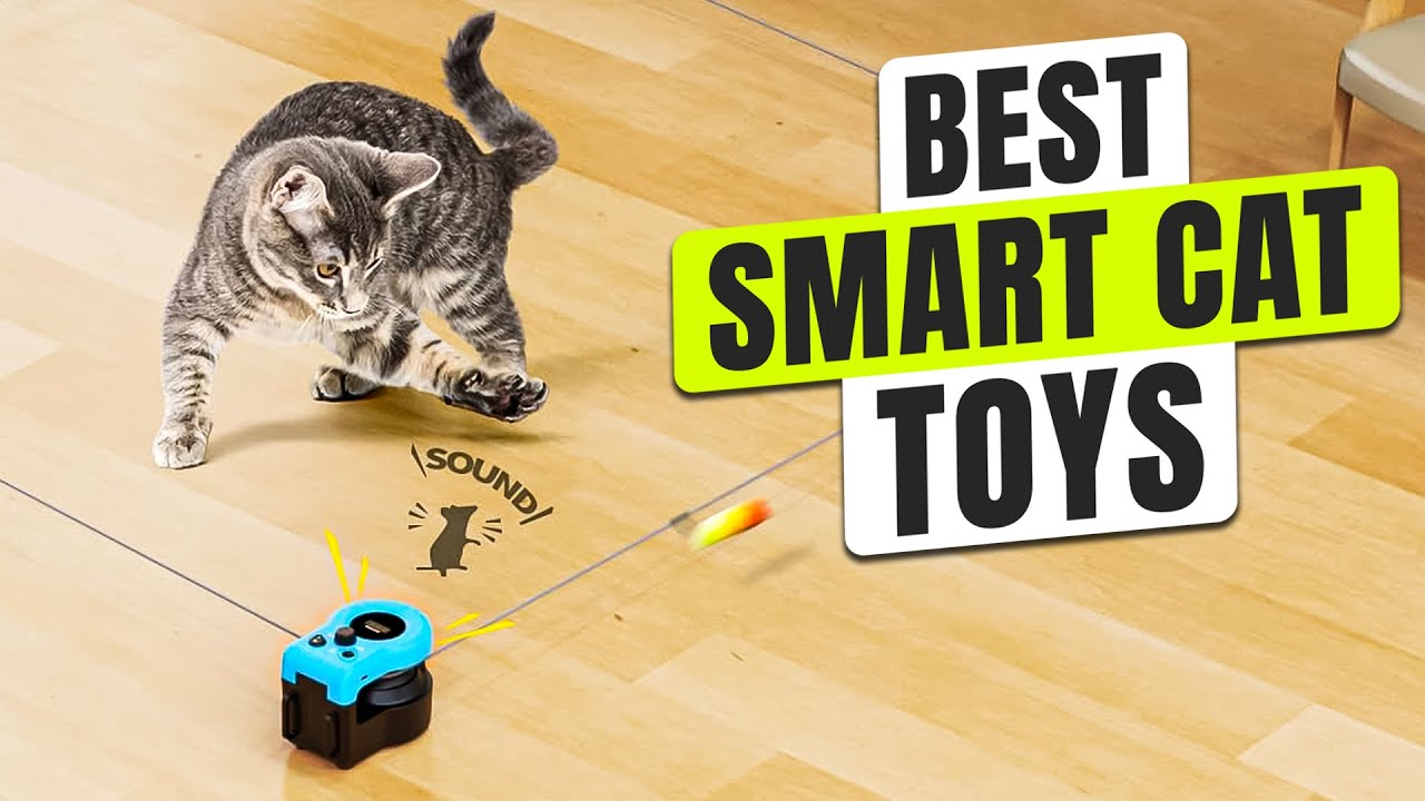 3 BEST Smart Cat Toys - YouTube