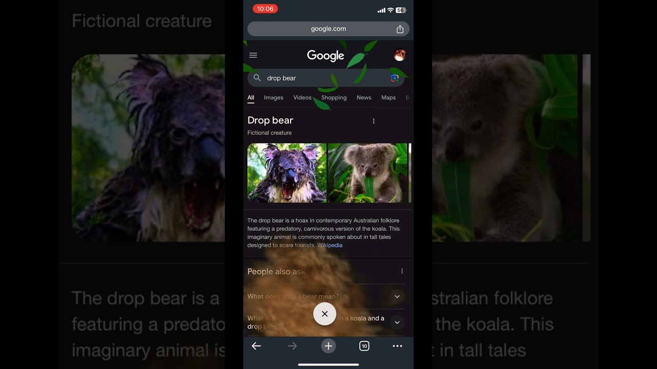 Drop bear/ Google search - YouTube