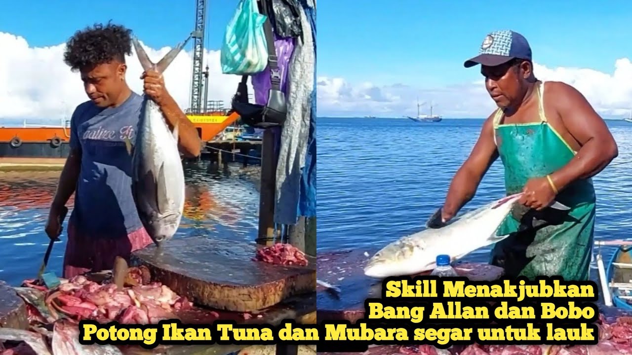 Skill Menakjubkan Bang Allan dan Bobo Potong Ikan Tuna dan Mubara segar ...