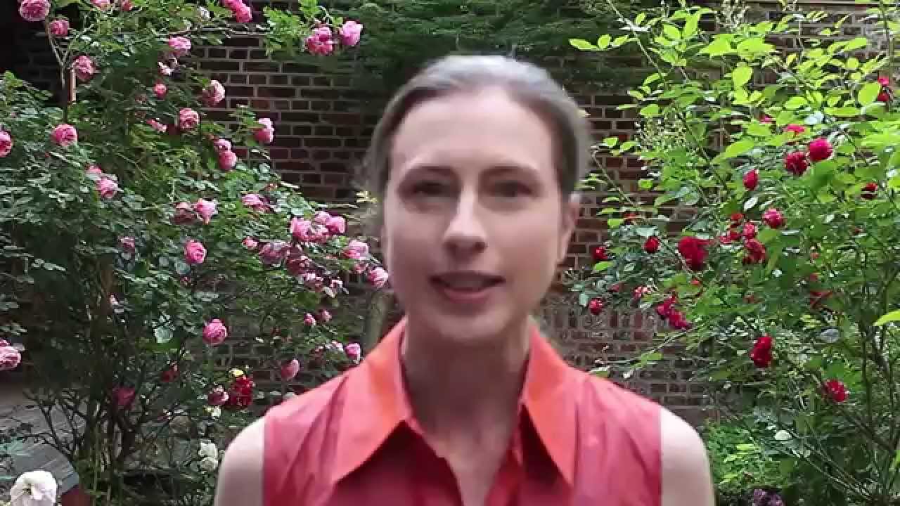 Vera Geisel: Guten Morgen Düsseldorf am 24.05.2014 - YouTube