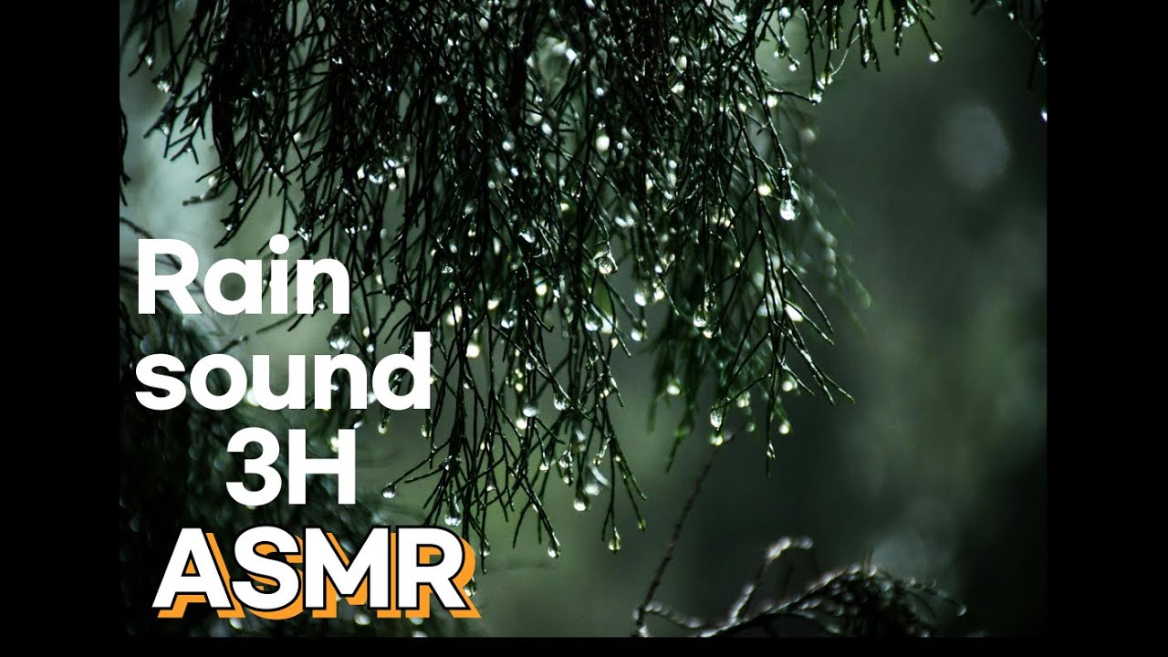 잠자기 전 최고의 빗소리 The Best Rain Sounds Before Sleep 💧 - YouTube