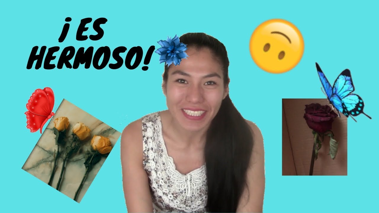 Rosas Disecadas - DayanLais - YouTube