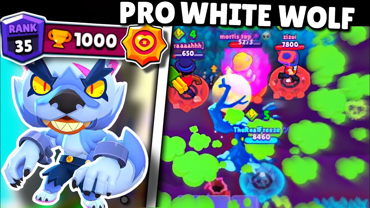 RANK 35 White Wolf Leon VS Solo Showdown 🐺⬜ (Pro Gameplay) - YouTube
