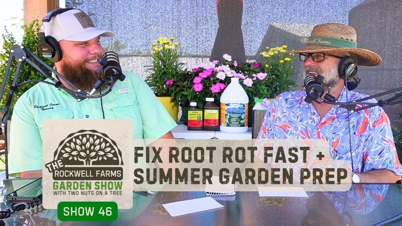 Fix Root Rot Fast + Summer Garden Prep | Rockwell Farms Garden Show #46 ...