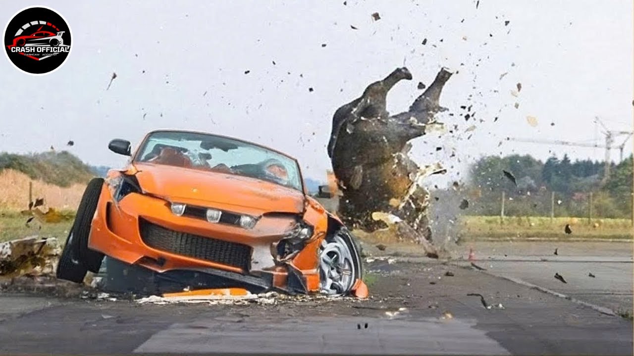 100 Horrifying Car Crash and Invasive Species Accidents Caught on ...