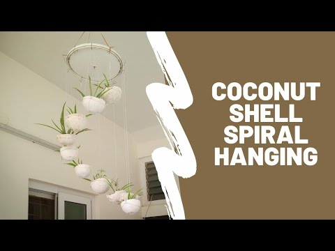 How to make Coconut shell spiral hanging || diy - YouTube