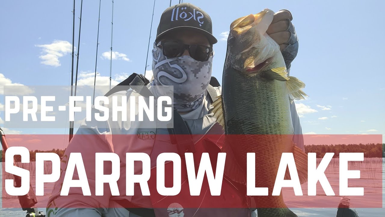 Tournament pre fishing | Sparrow Lake - YouTube