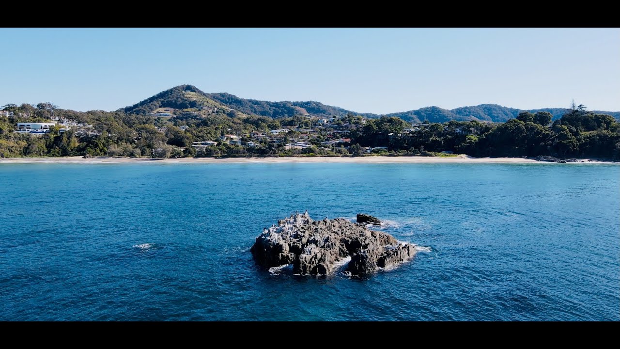 Your Front Row Seat To The Delights Of Korora Bay - YouTube