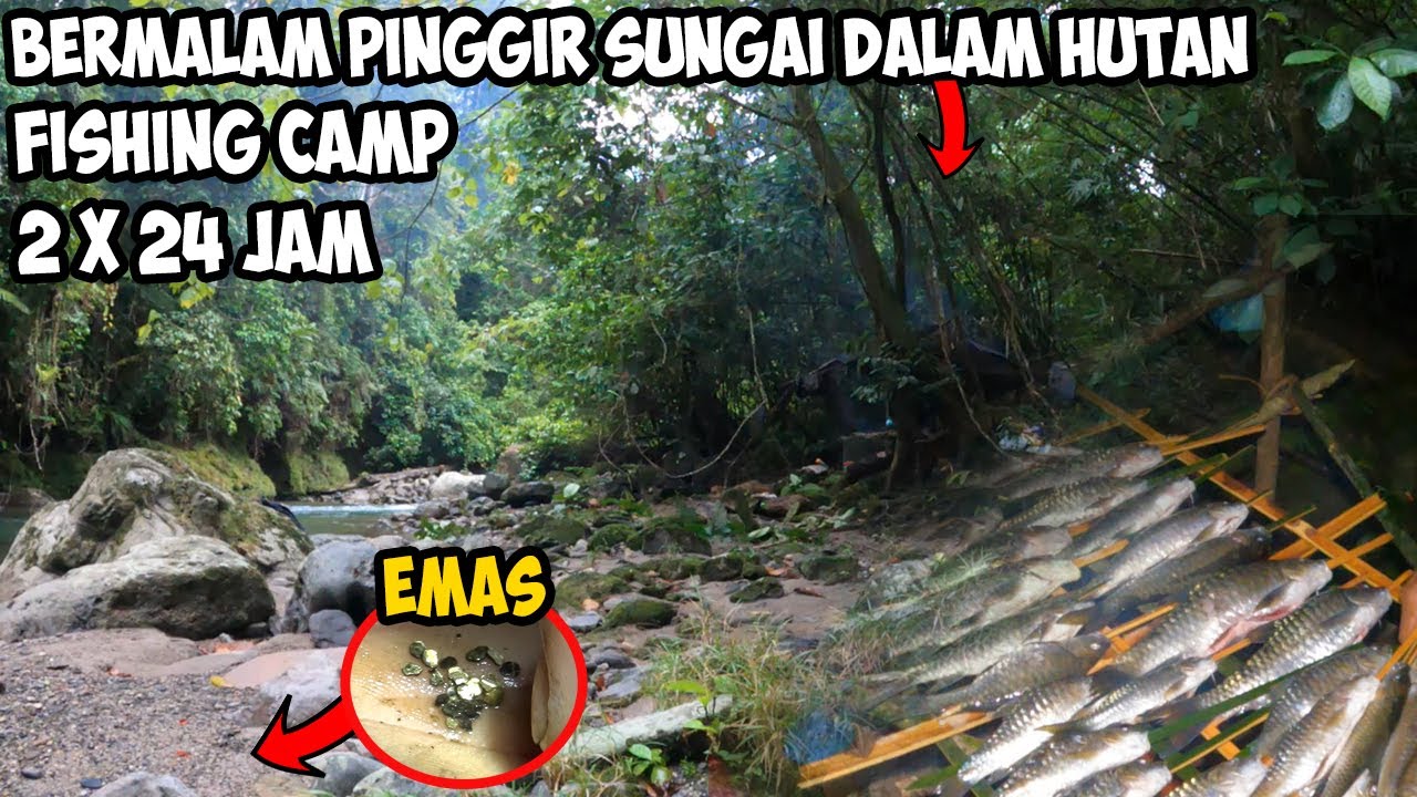 Bermalam Di Hutan Rimba Petualangan Fishing Camping Hutan Belantara Part 32 - YouTube