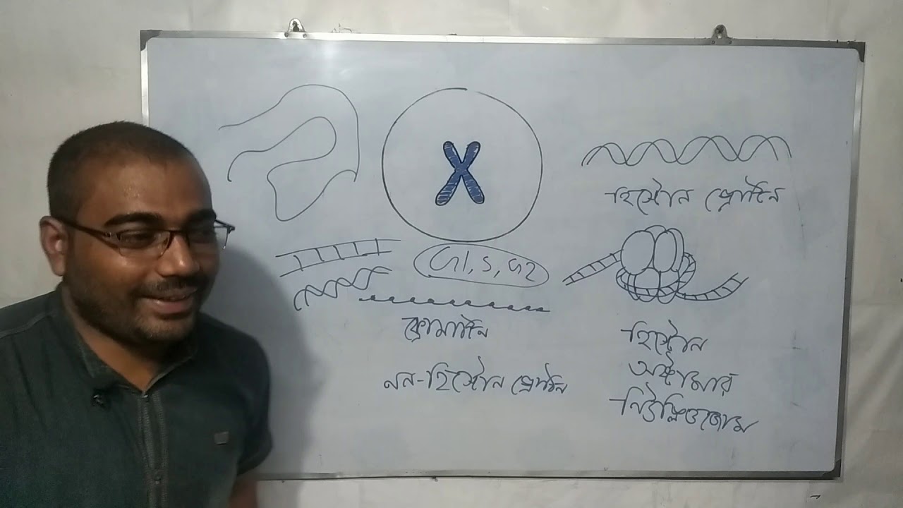 Class X Life science ক্রোমোজোম কি, জিন কি, জিন কোথায় থাকে - YouTube