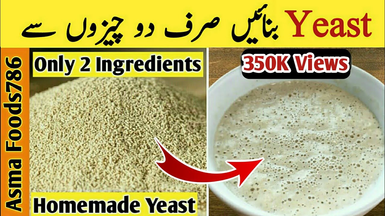 How to Make Yeast at Home| Yeast Recipe At Home |Instant Yeast Recipe ...