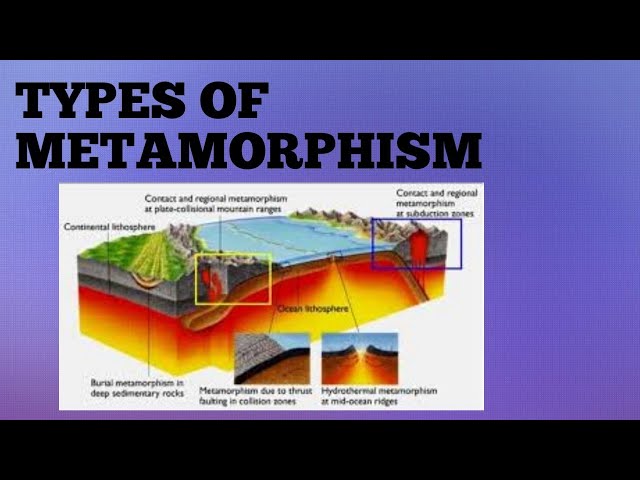 Dynamic Metamorphism
