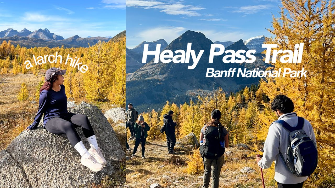 8hr, 20km Banff Fall Hike 🍂🏔️ | Larches in Healy Pass Trail - YouTube
