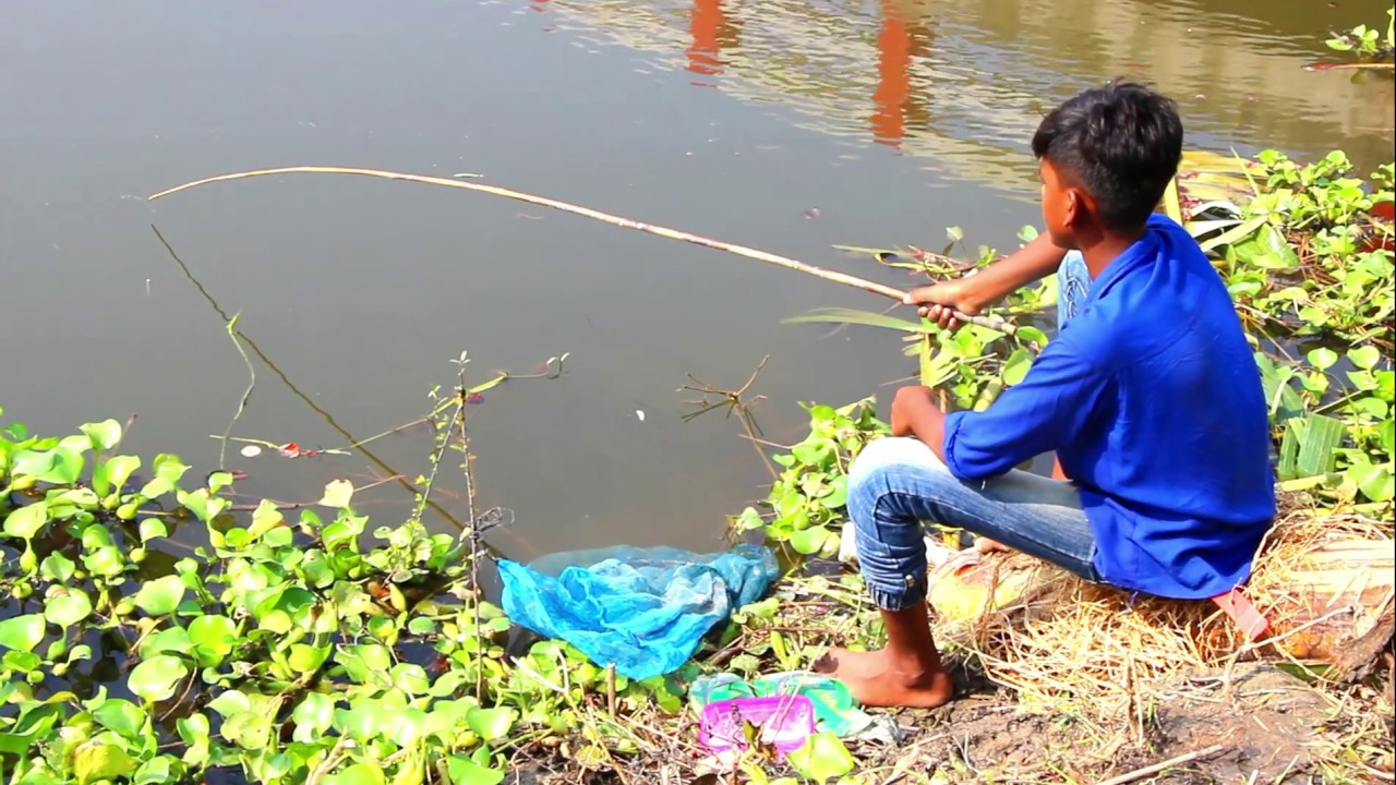 Fish Hunting - Traditional Fish Hunting at the River With Beautiful ...