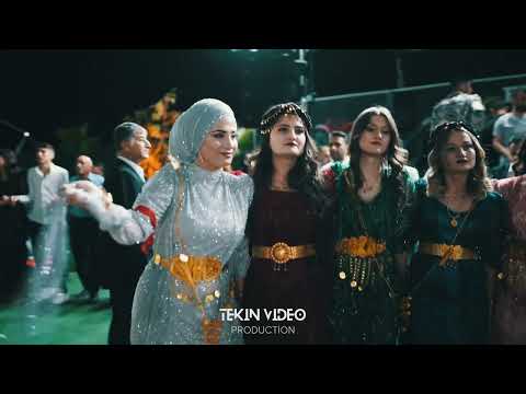 Zana & Gizem düğün.