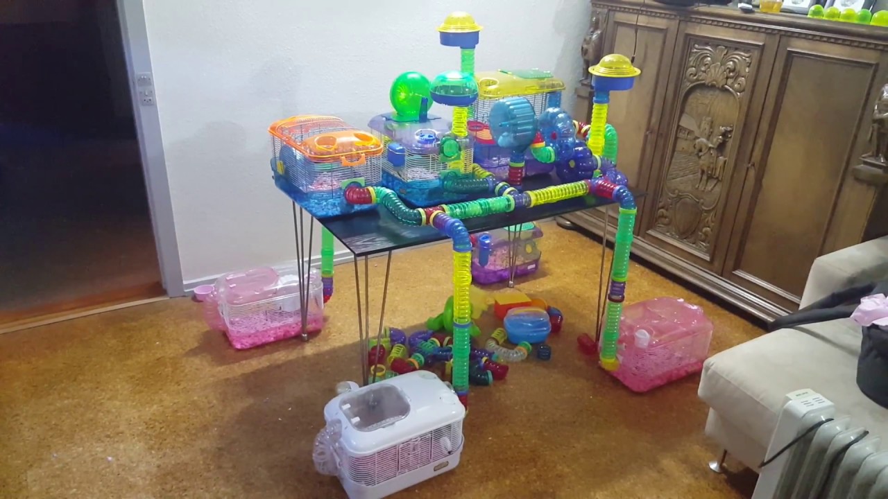 Critter trail castle - YouTube