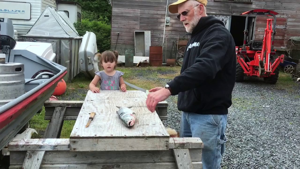 How to clean and fillet a salmon - YouTube