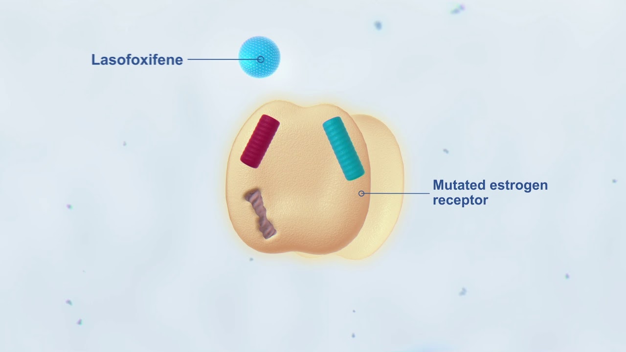 MOA Lasofoxifene - YouTube