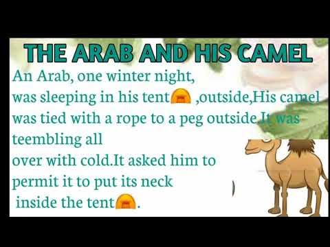 Camel story || The Arab and the Camel - YouTube