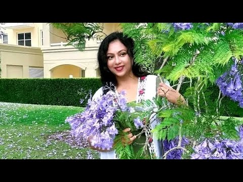 Cinema Jagoter Nice Photography - Dr. Masum Mridha , MPH, Consultant Physiotherapist. - YouTube