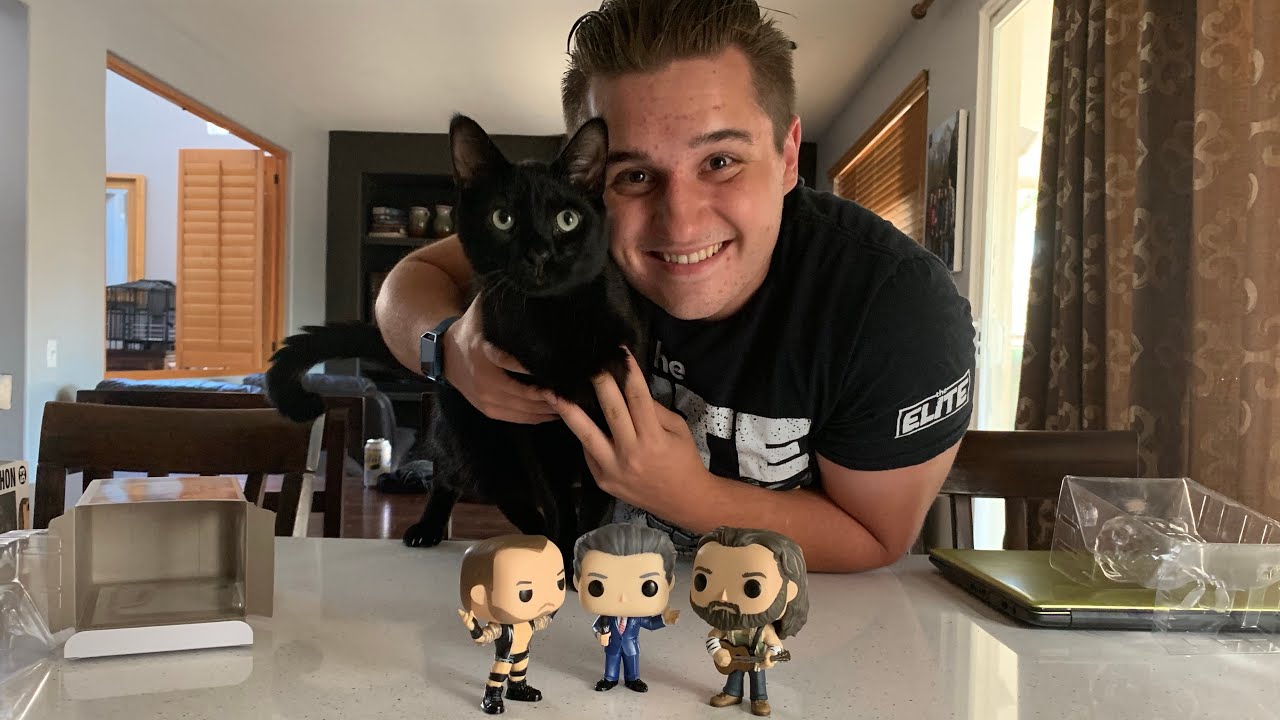 WWE POP VINYL FIGURES REVIEW! |Special Guest My Cat Jeff - YouTube