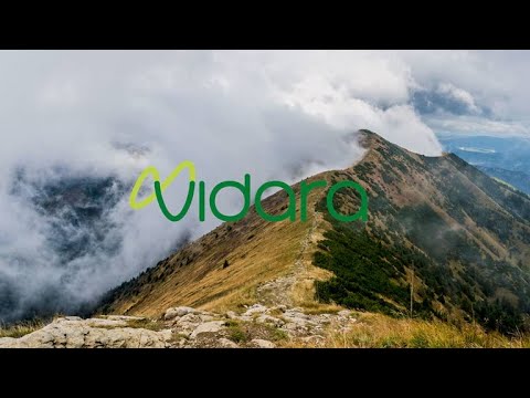 VIDARA Institucional (31/01/2024)