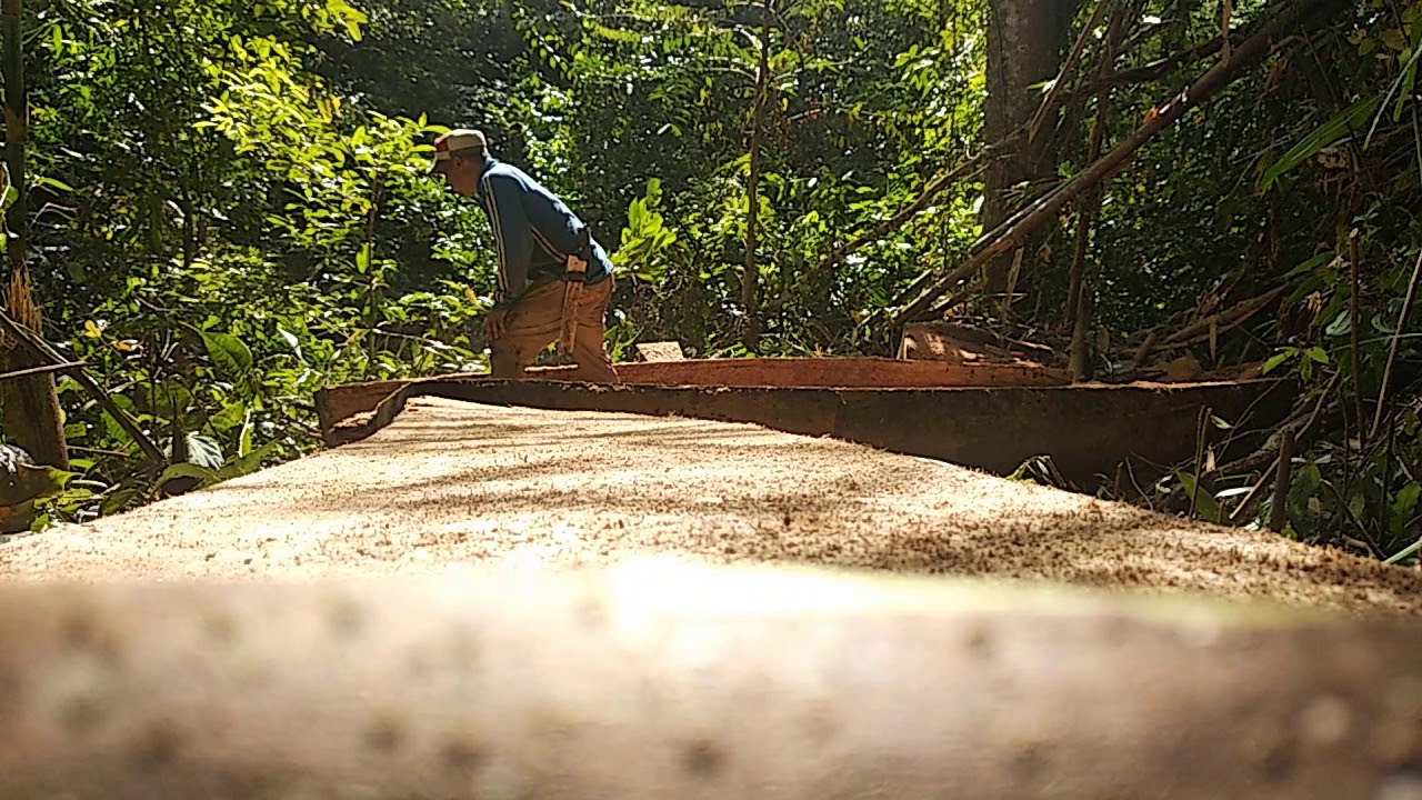 Belajar menghiris beruti🤣 - YouTube