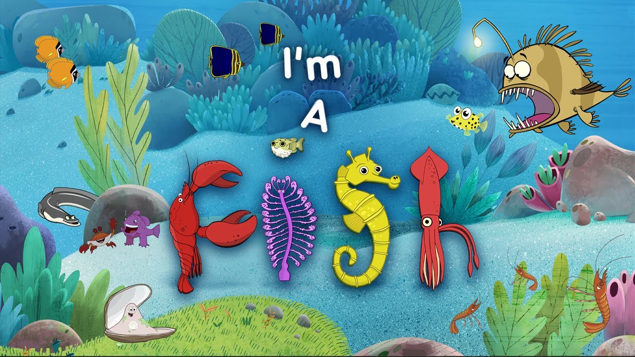 I'm A Fish | Season 1 | Episode 4 | Tom Gray | Clifford Parrott - YouTube