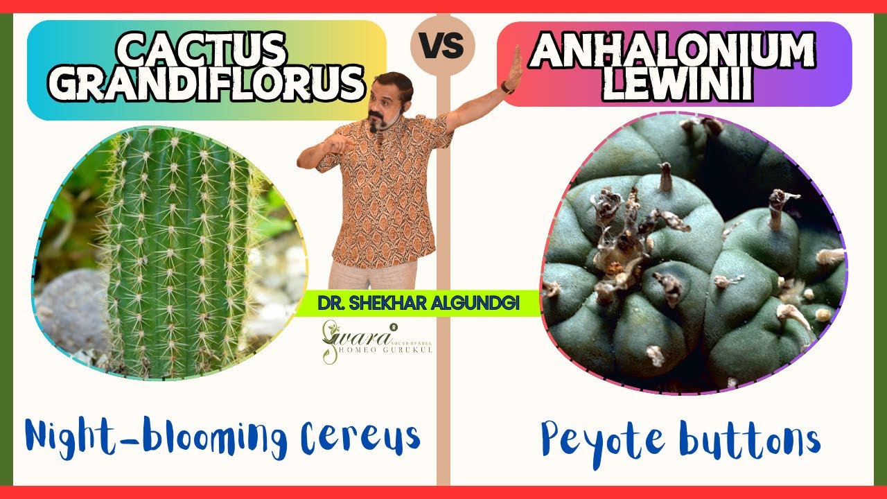 Remedy difference: Anhalonium lewinii I Cactus grandiflorus I Dr ...