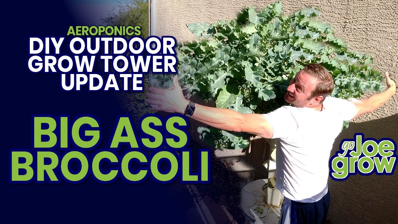 DIY Outdoor Tower Garden Fall Update - Huge Broccoli Plants! - YouTube