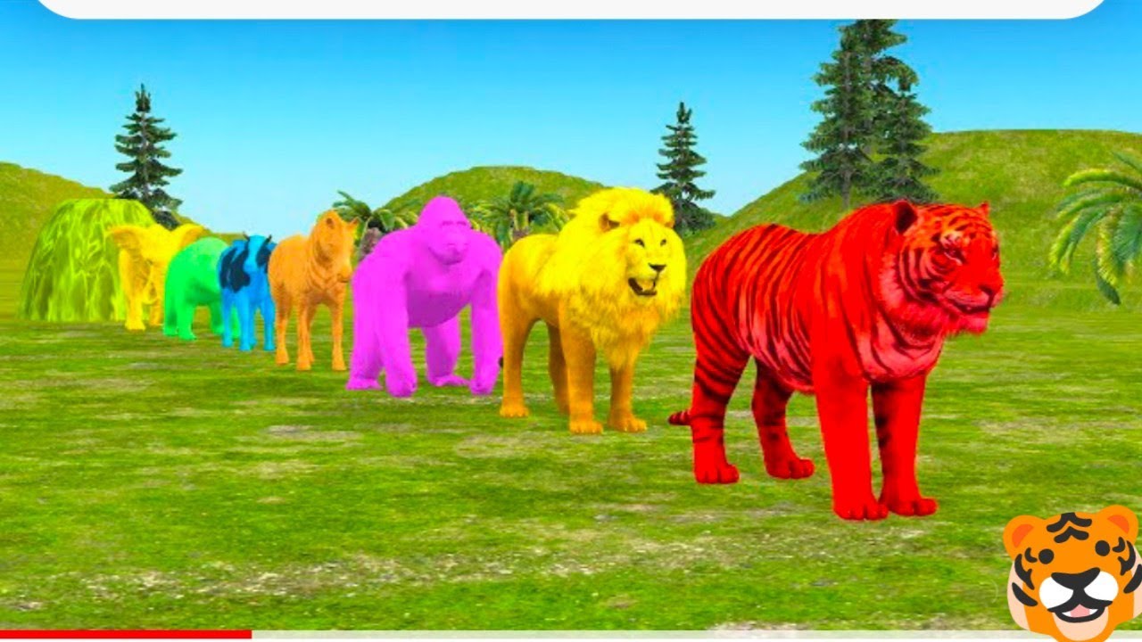 Color change Animal cartoon videos - YouTube