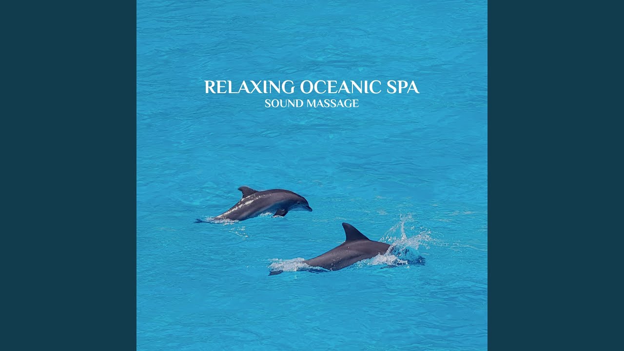 Dolphin Zen Tones - YouTube