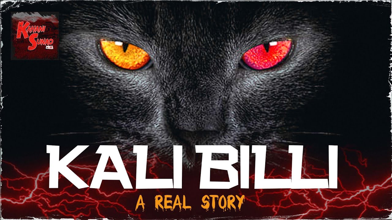 Kali Billi : [Eik Suchi kahani] [Urdu Hindi Horror Stories] [8D Audio ...